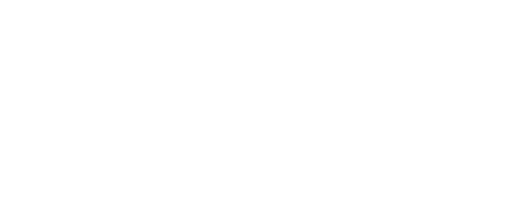 nirvana phoenix pars shipping co – an international Shipping Company
